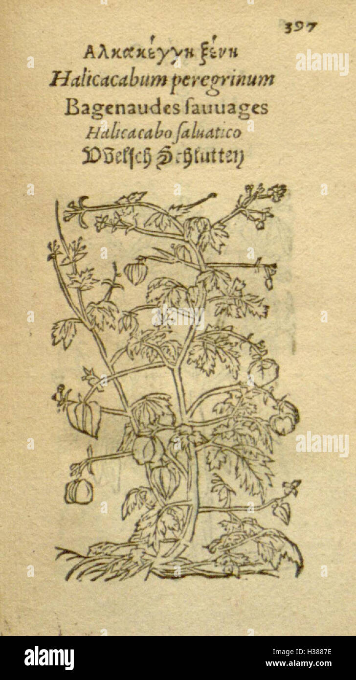 This book provides illustrations and detailed descriptions of various ...