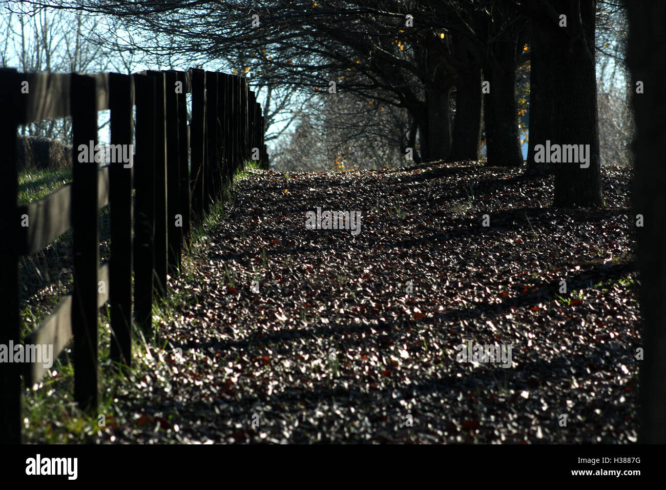View along wooden fence hi-res stock photography and images - Alamy