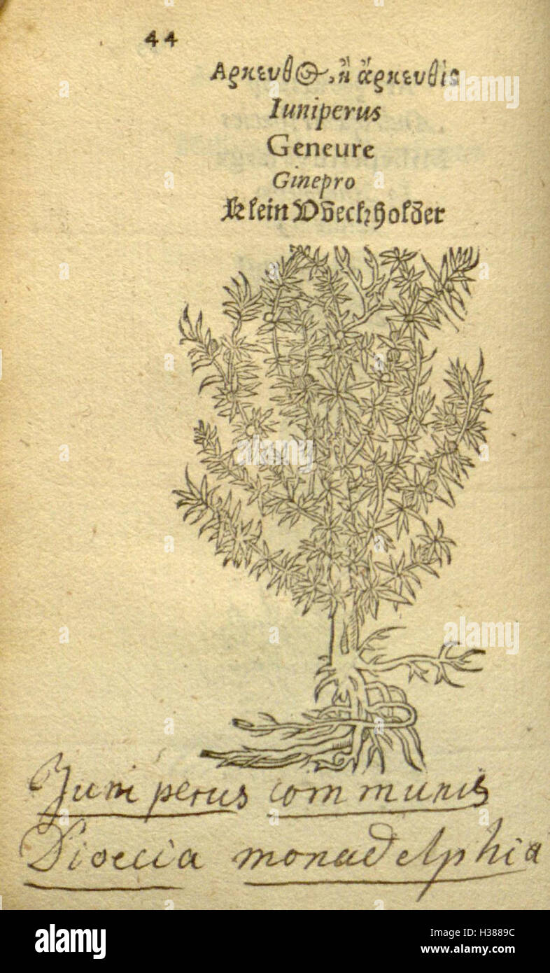 Plant book page hi-res stock photography and images - Alamy