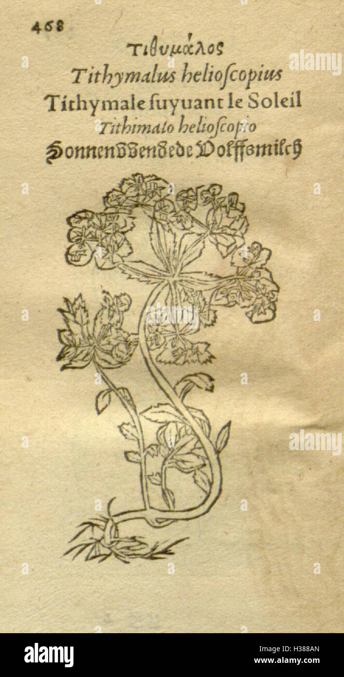 This work offers a detailed representation of various plant species ...