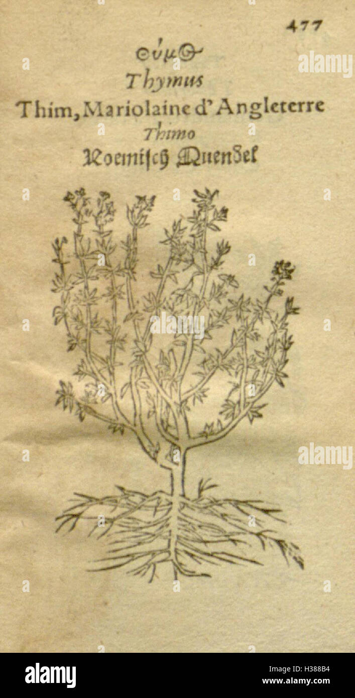 This book contains detailed illustrations of various plant species ...