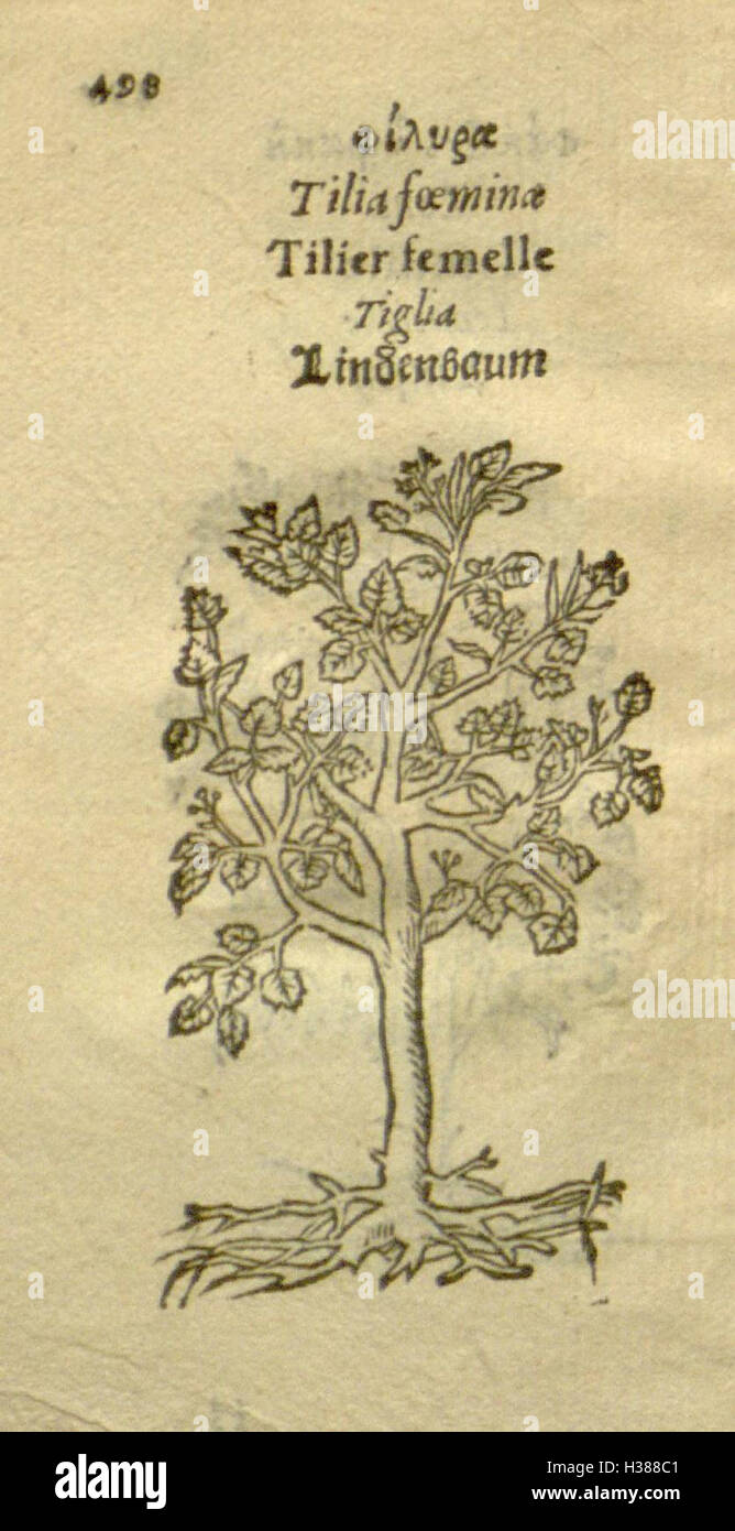 This botanical work provides illustrations and descriptions of various ...