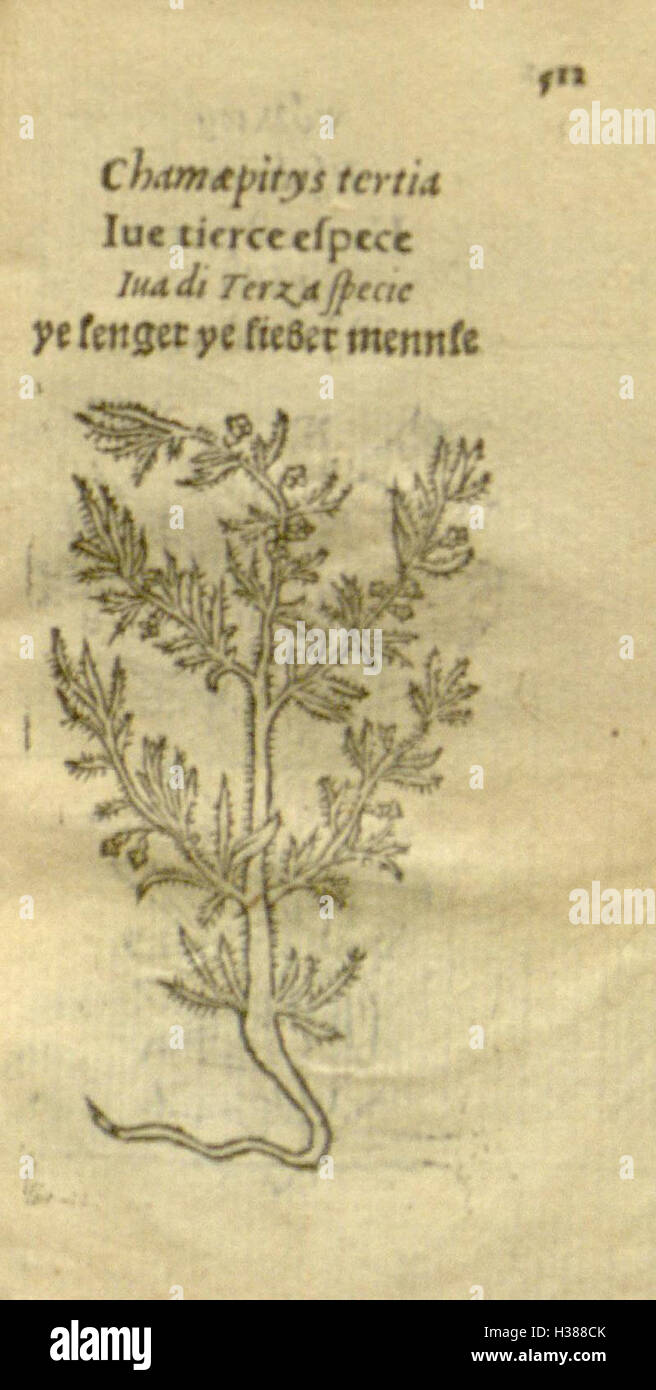 This botanical text provides detailed illustrations and descriptions of ...