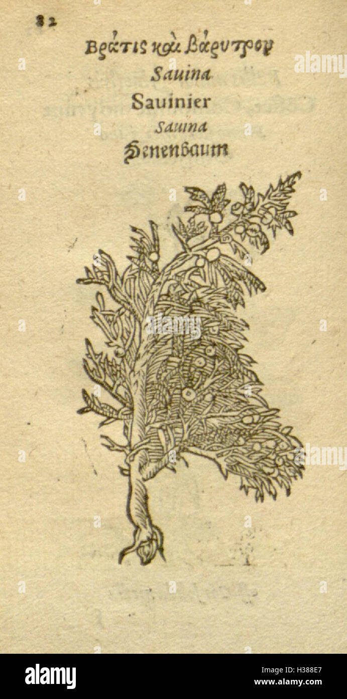 This botanical text features detailed visual representations of various ...