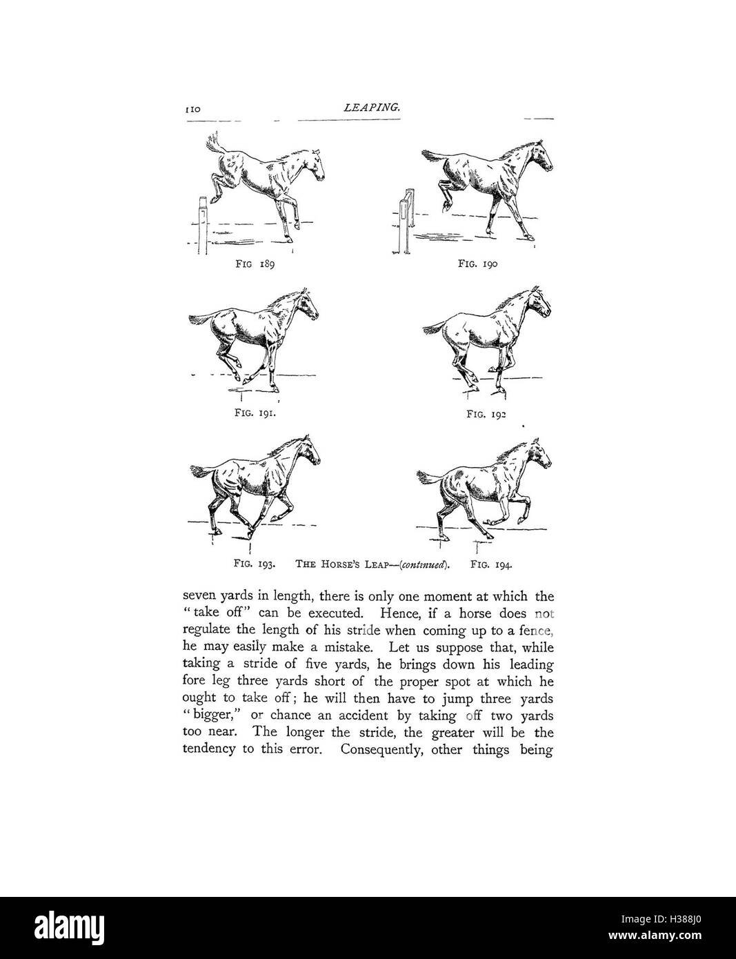 Behavioral features Black and White Stock Photos & Images - Alamy