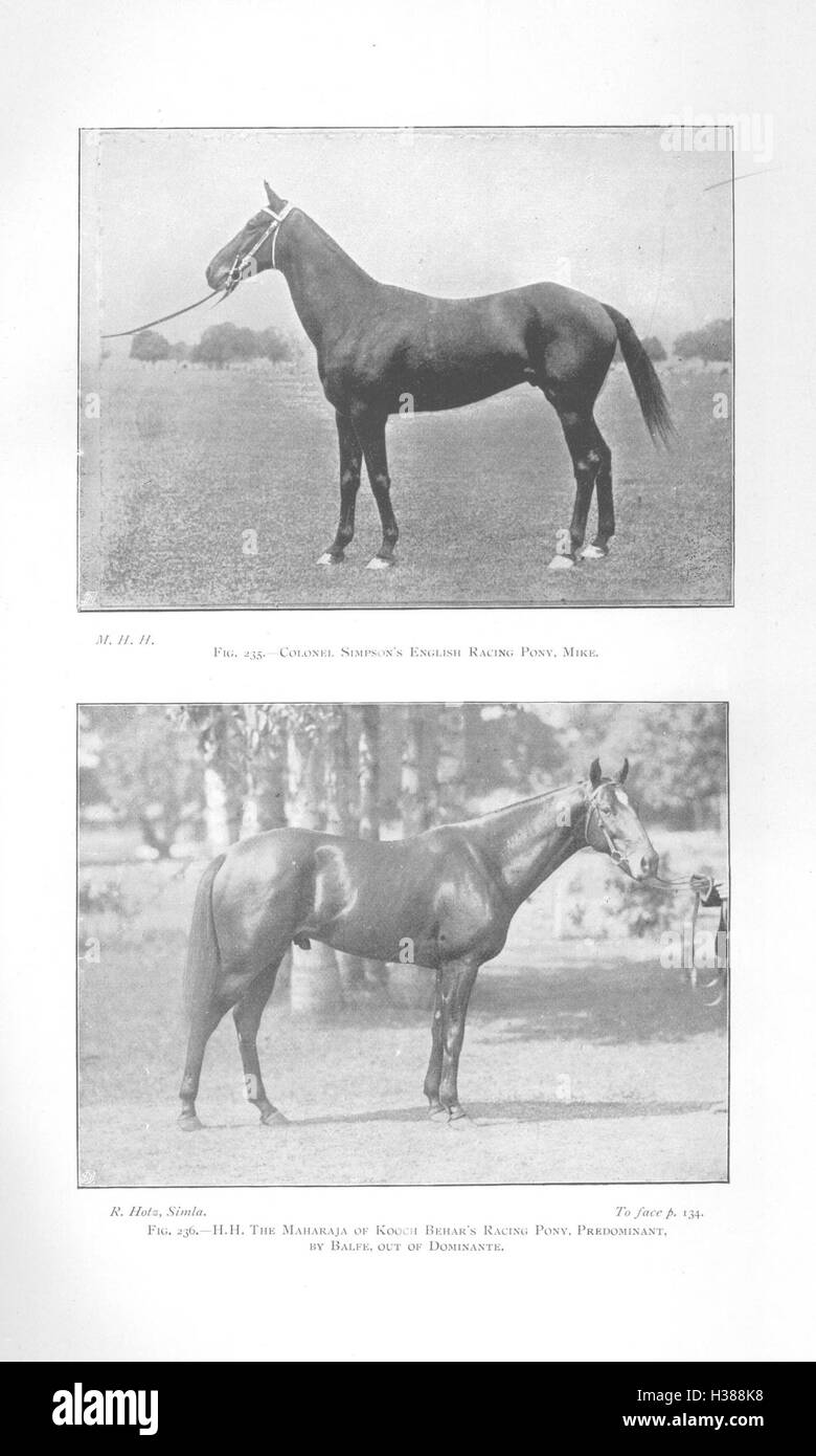 This text offers a detailed examination of the anatomical features and ...