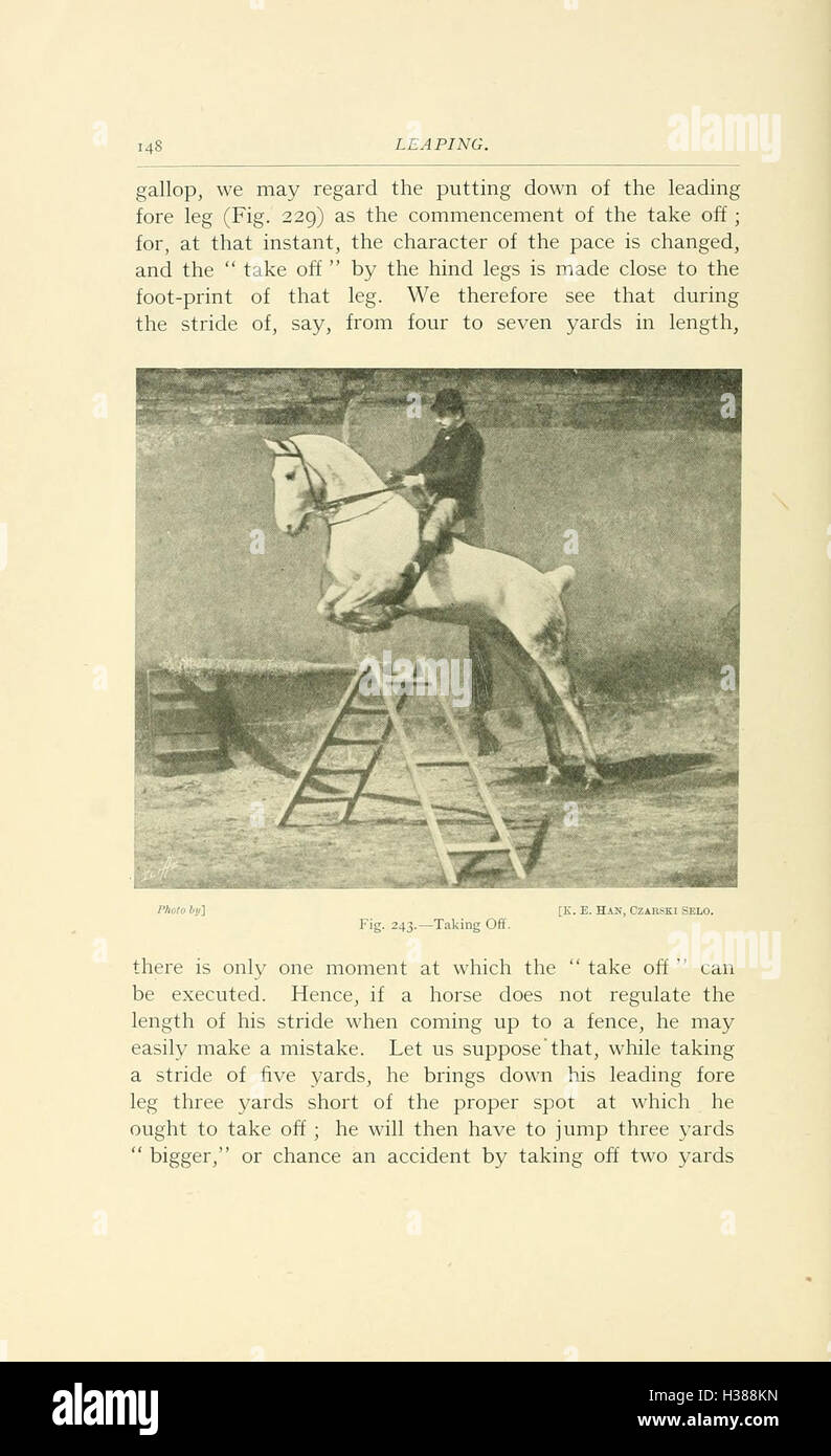 This work covers the anatomical structure of horses, with detailed ...