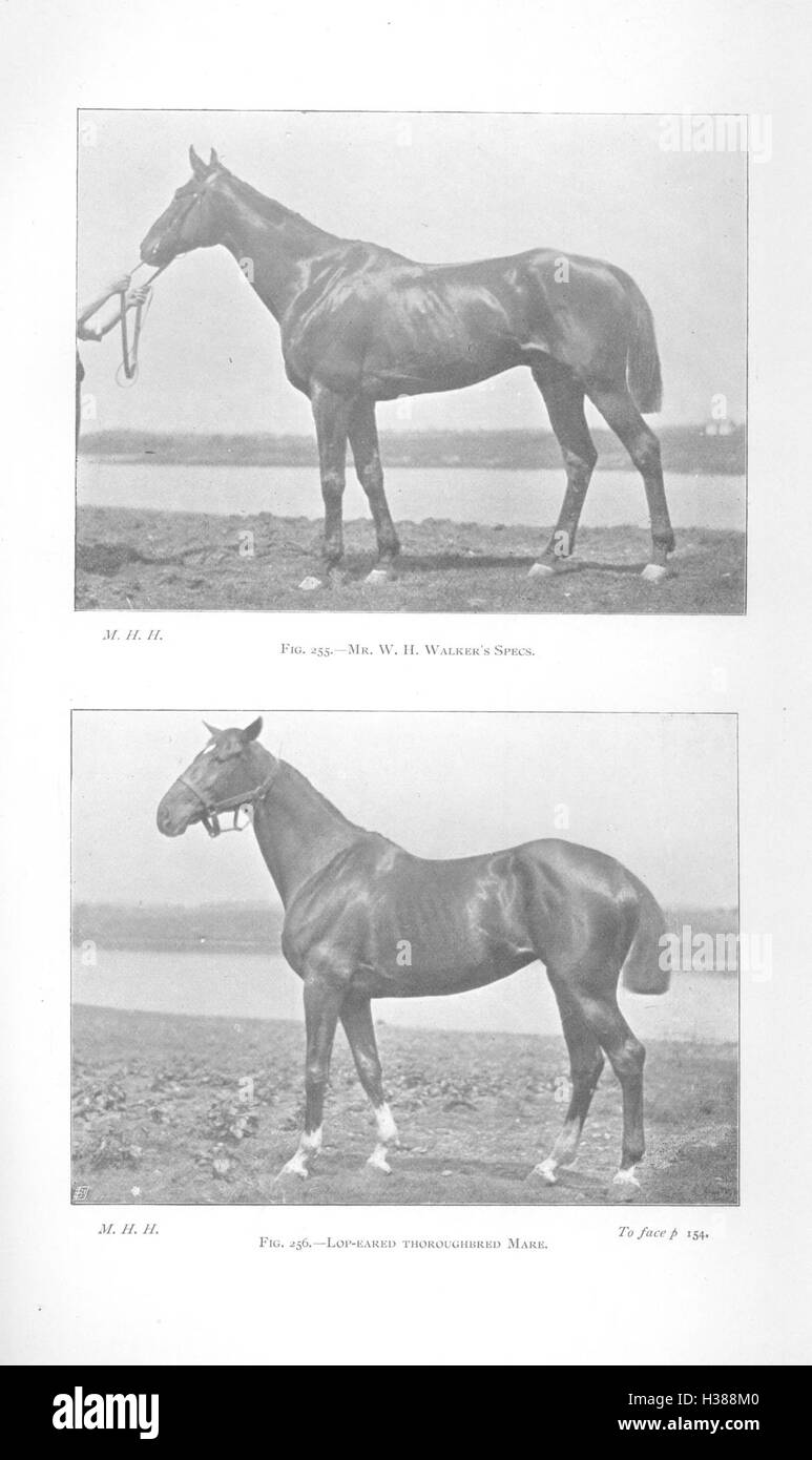 Relevant training Black and White Stock Photos & Images - Alamy