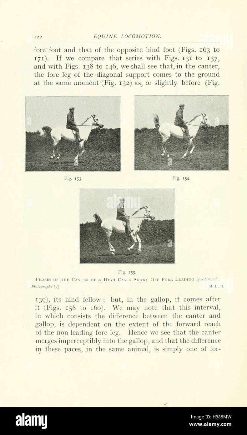 This page delves into the anatomical details of the horse's points ...