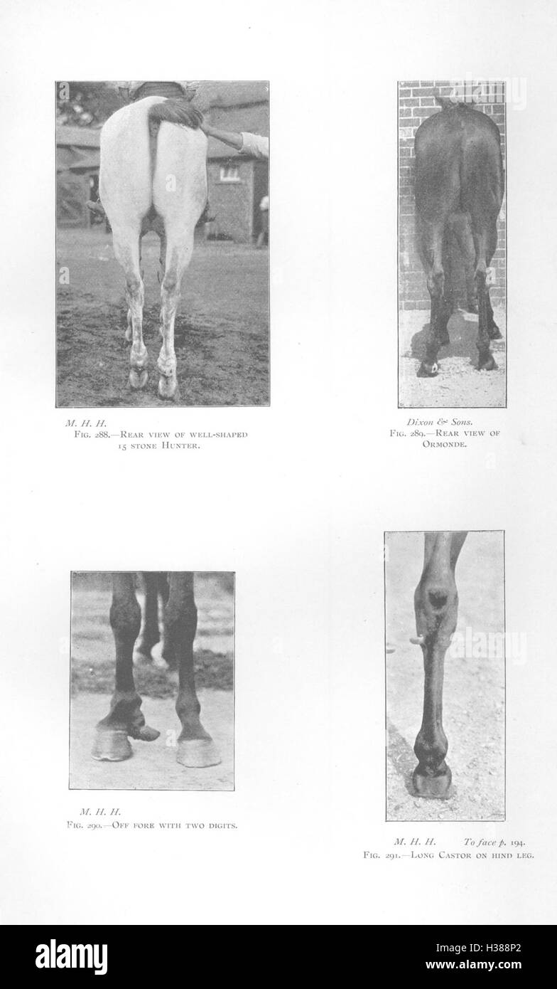 This page presents a detailed guide to understanding the points of the ...