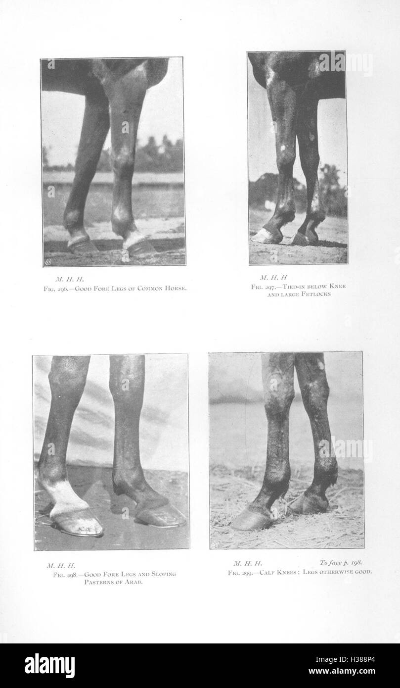 Physical conformation Black and White Stock Photos & Images - Alamy