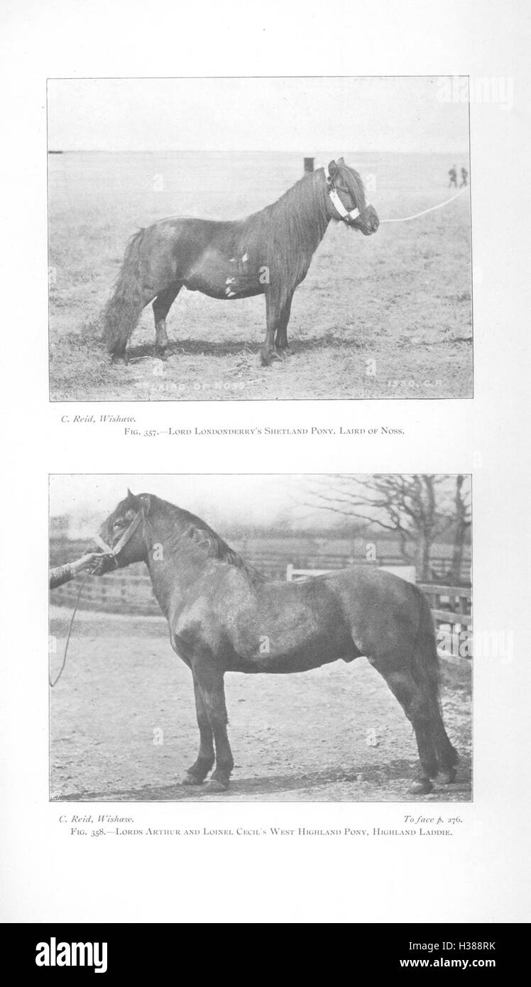 276a hi-res stock photography and images - Alamy