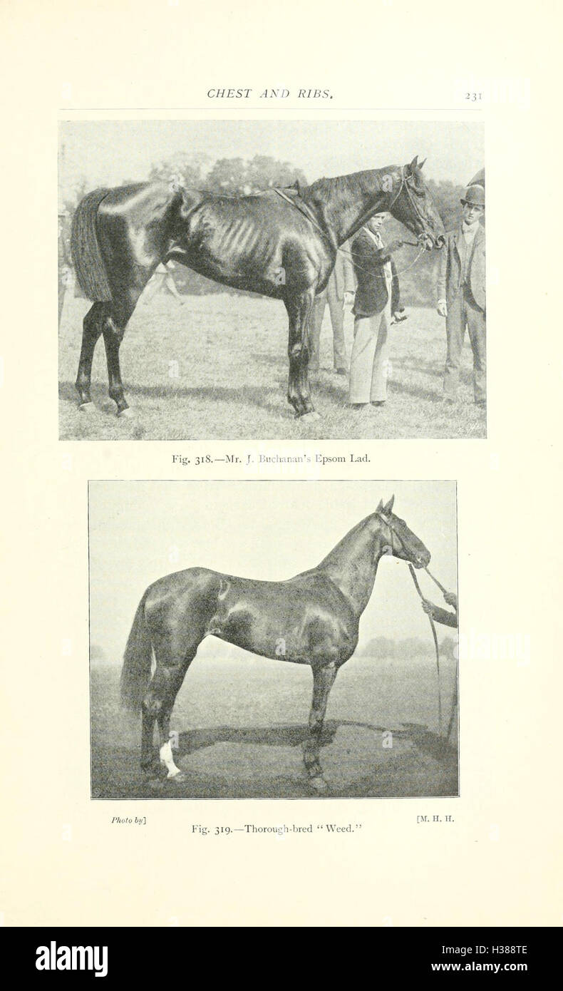 Work examines detailed anatomical hi-res stock photography and images ...