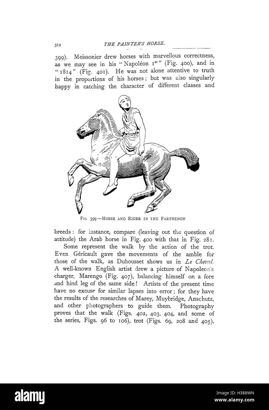 Different anatomical Black and White Stock Photos & Images - Alamy