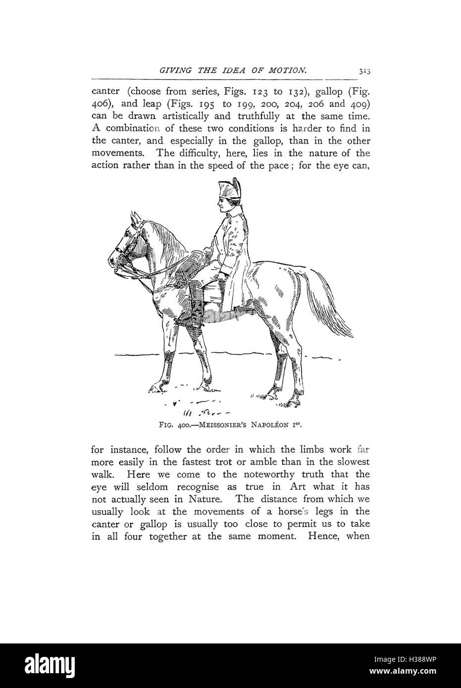 Detailing traits Black and White Stock Photos & Images - Alamy