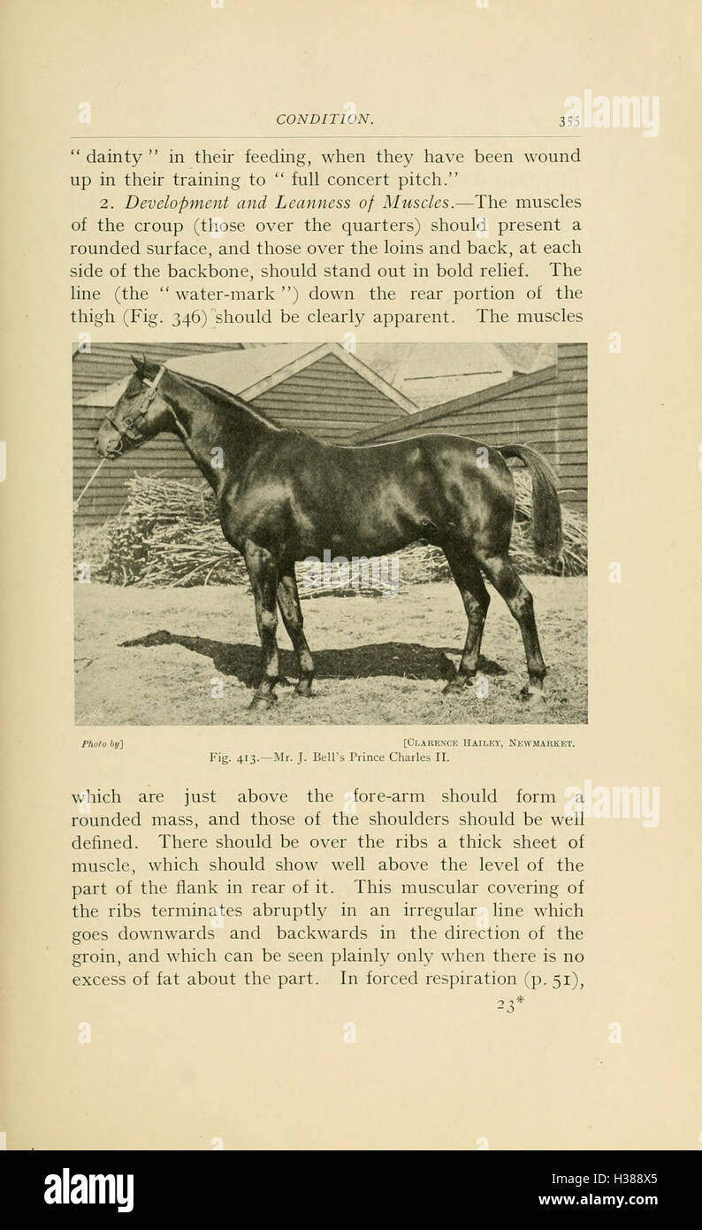 This text outlines the important anatomical features of the horse, with ...