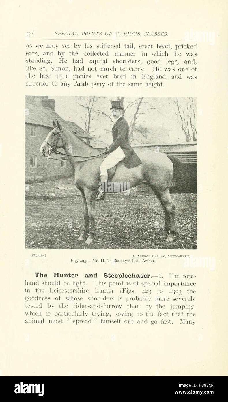 This page from 'Points of the Horse' provides detailed information on ...
