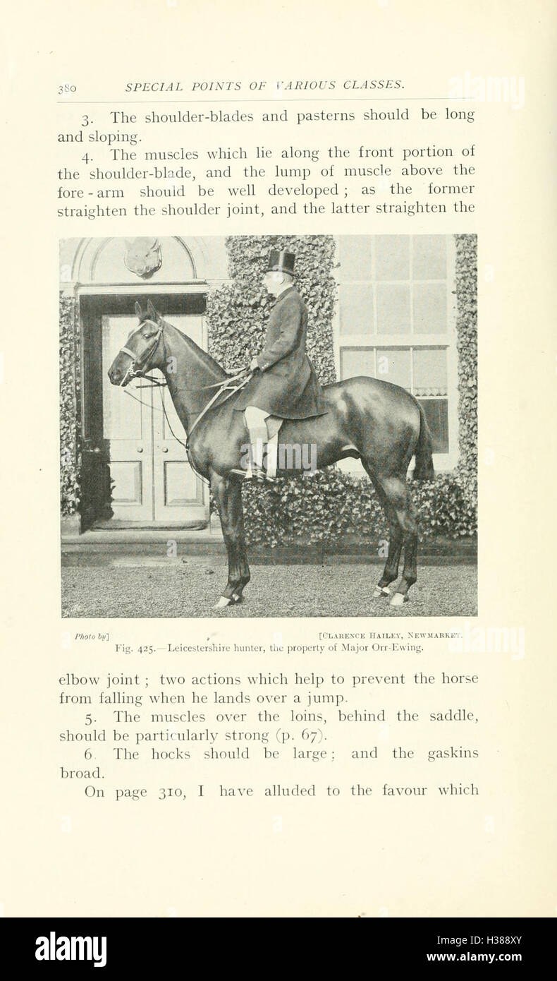 An exploration of the anatomical and physical traits of horses ...