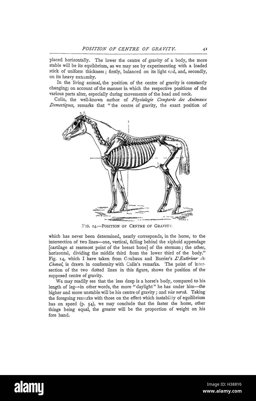 This work provides a detailed analysis of the key anatomical points of ...