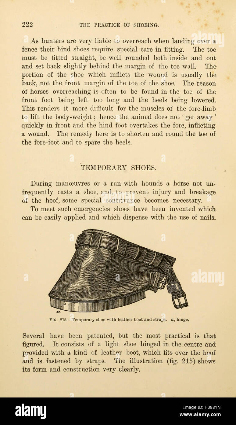 This guide offers detailed methods and practices for horse-shoeing ...