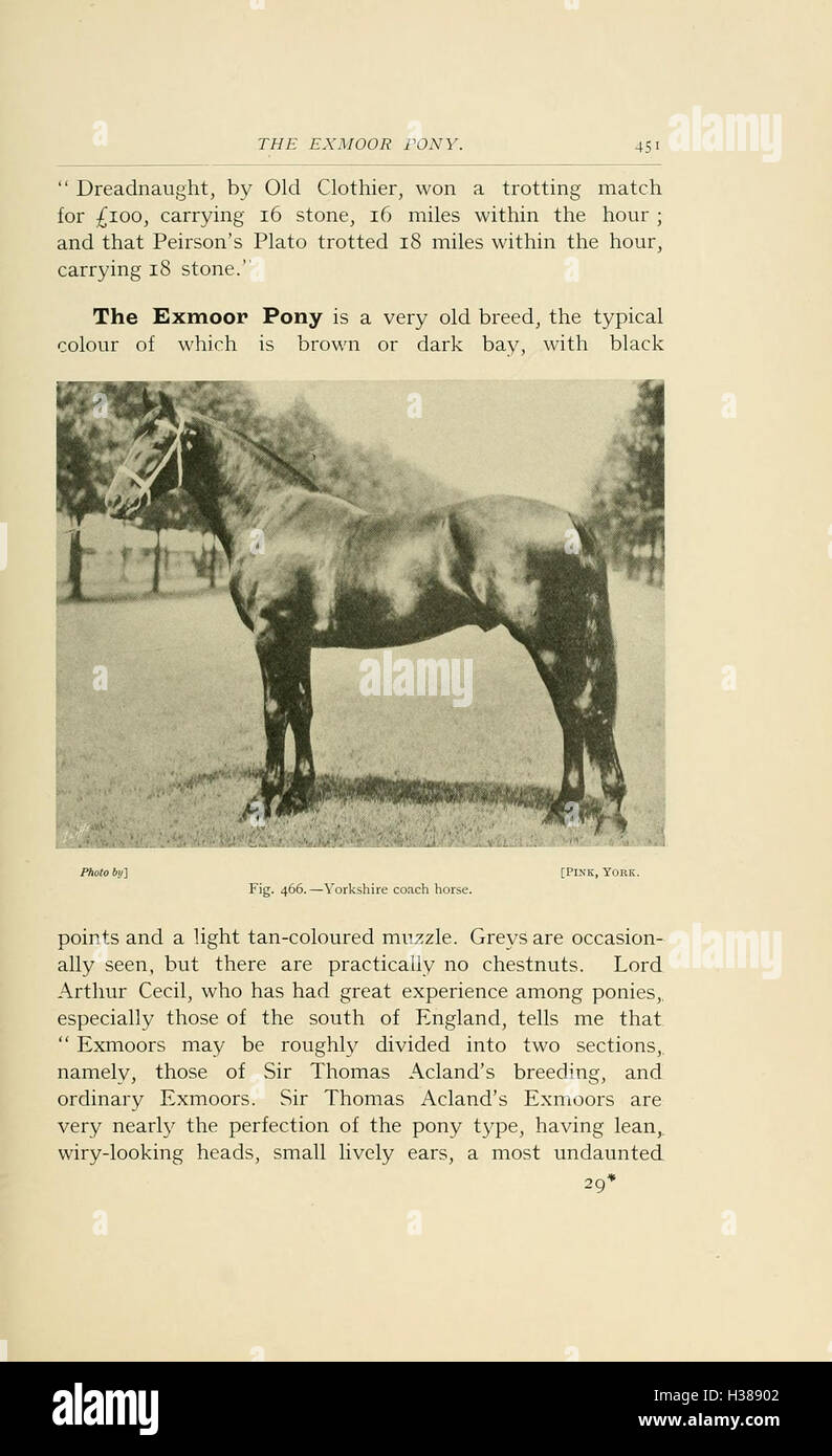 This guide discusses the key anatomical features and characteristics of ...