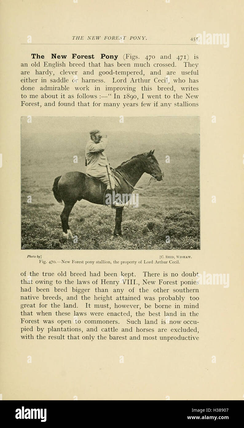 This work describes the key anatomical features and characteristics of ...