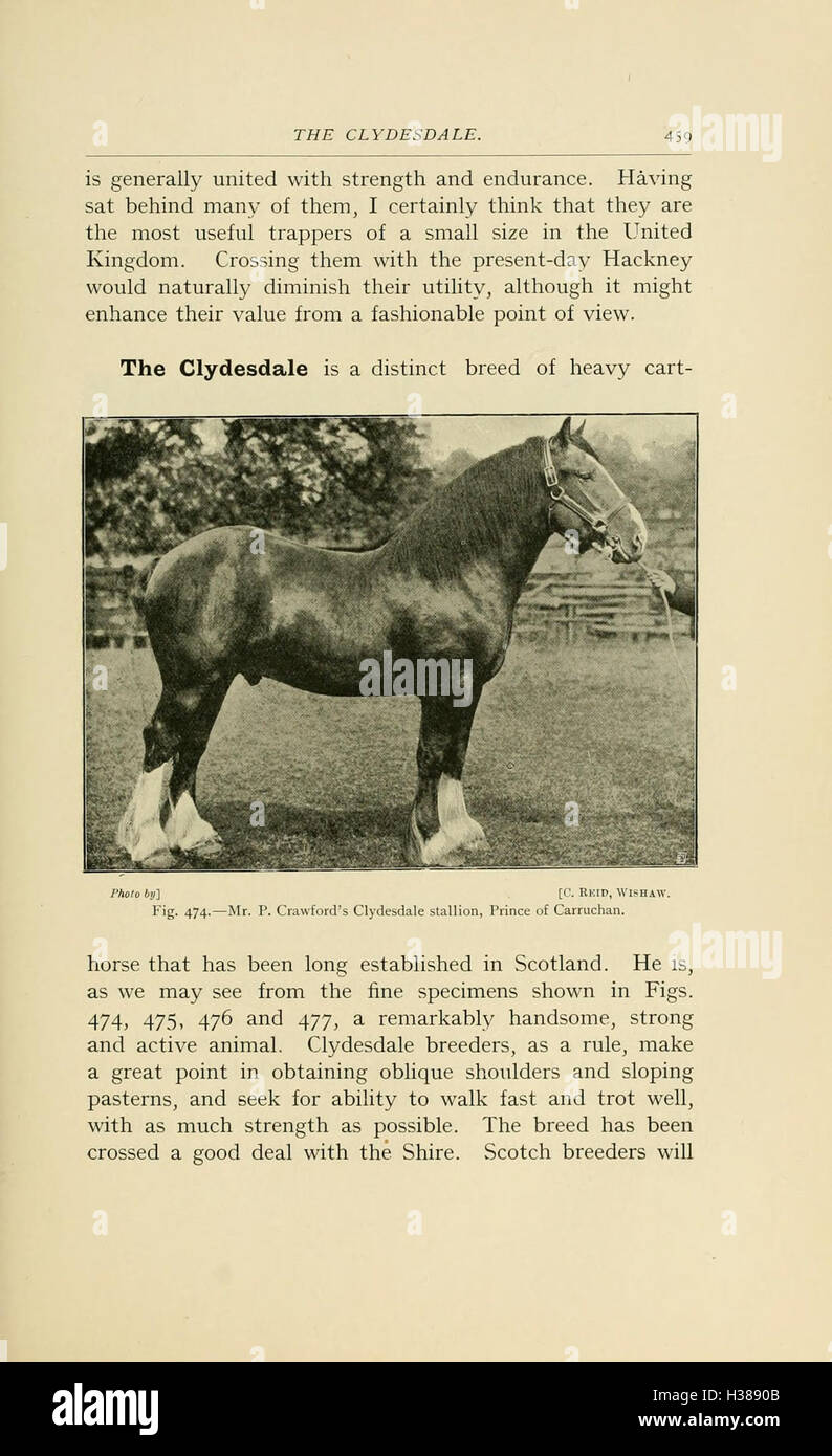 This guide focuses on the physical features and anatomical points of ...