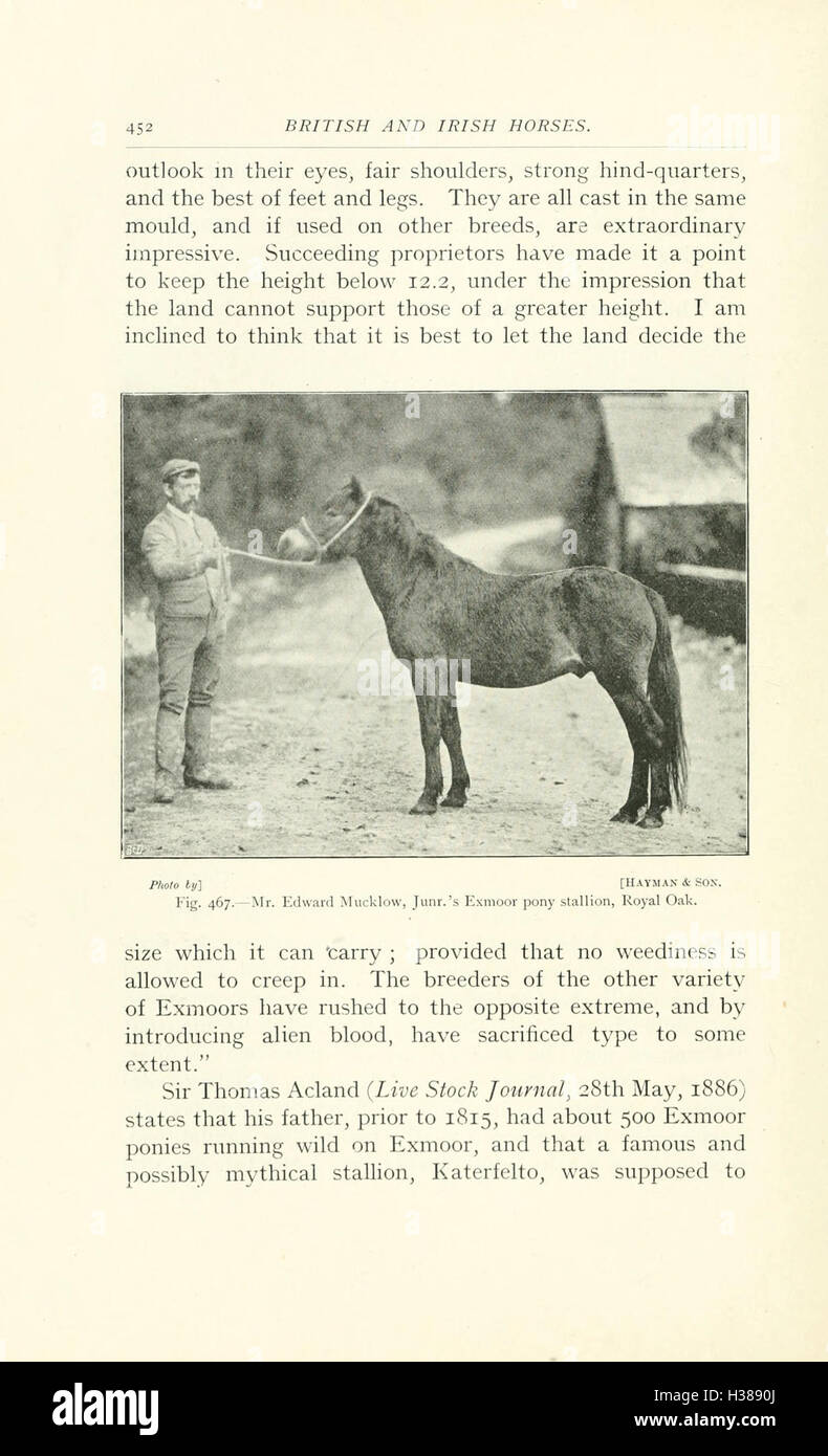 This work explores the various anatomical points and features of the ...