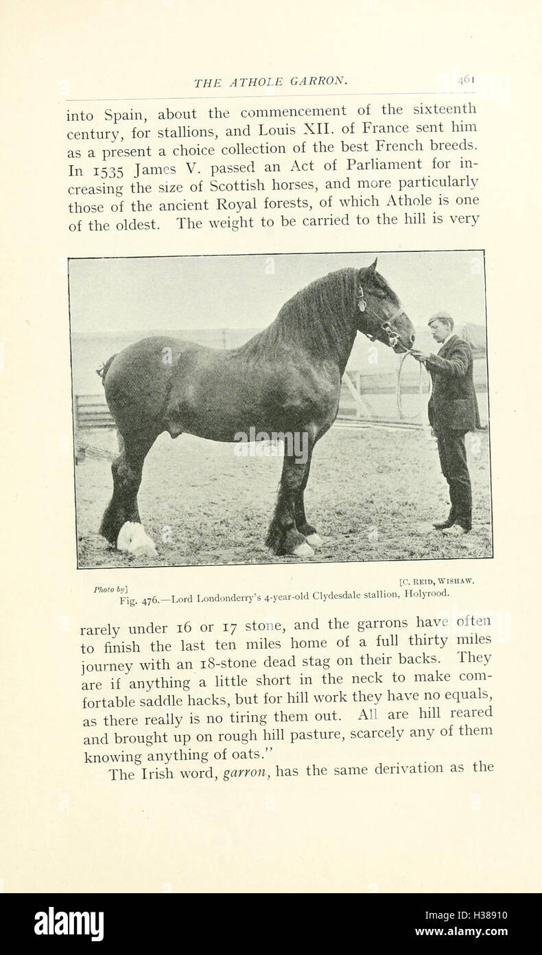 This book offers a detailed examination of the anatomical features of ...