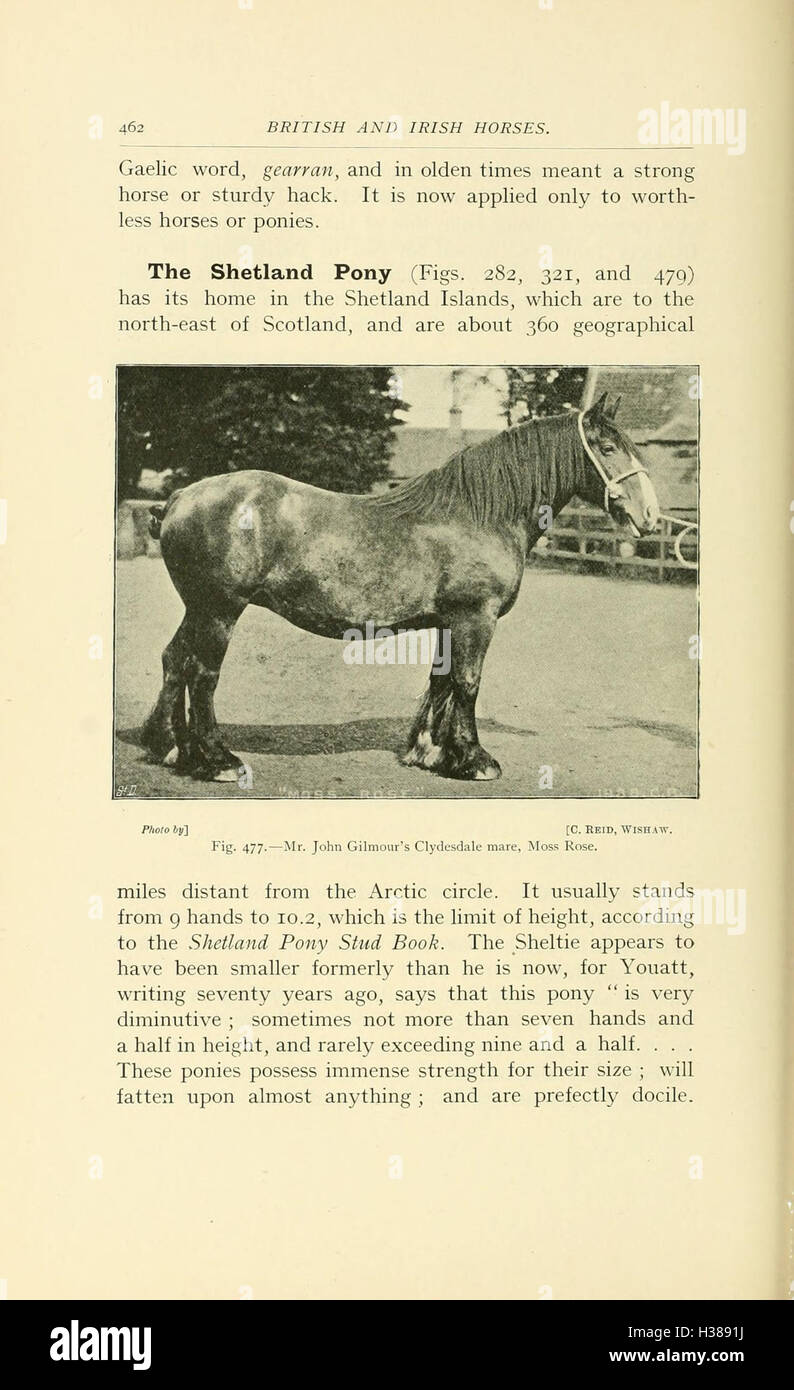 This page outlines the important physical and anatomical ...