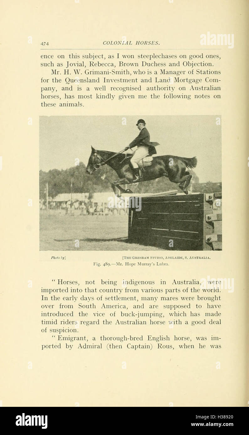 A guide detailing the key anatomical points of the horse, providing an ...