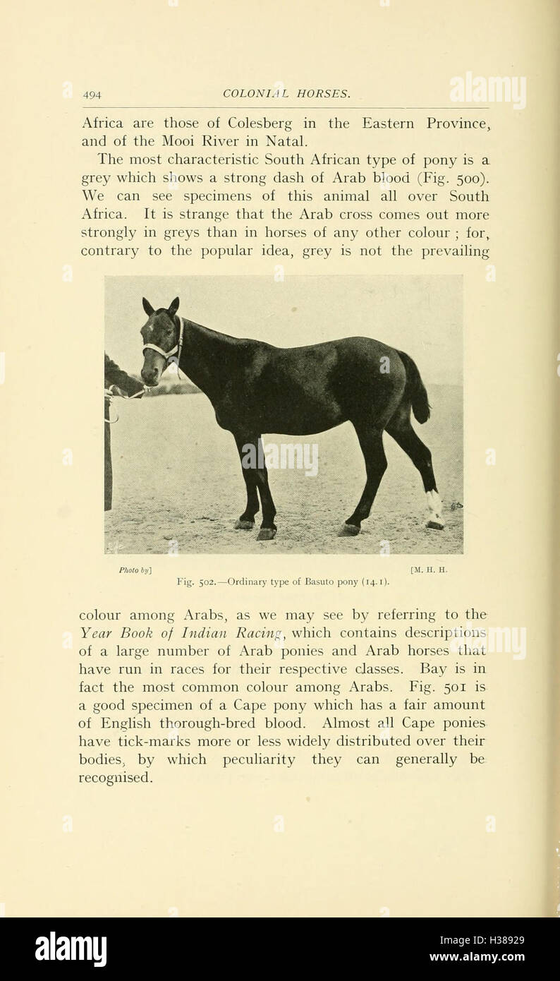 This text examines the physical features and anatomical structure of ...