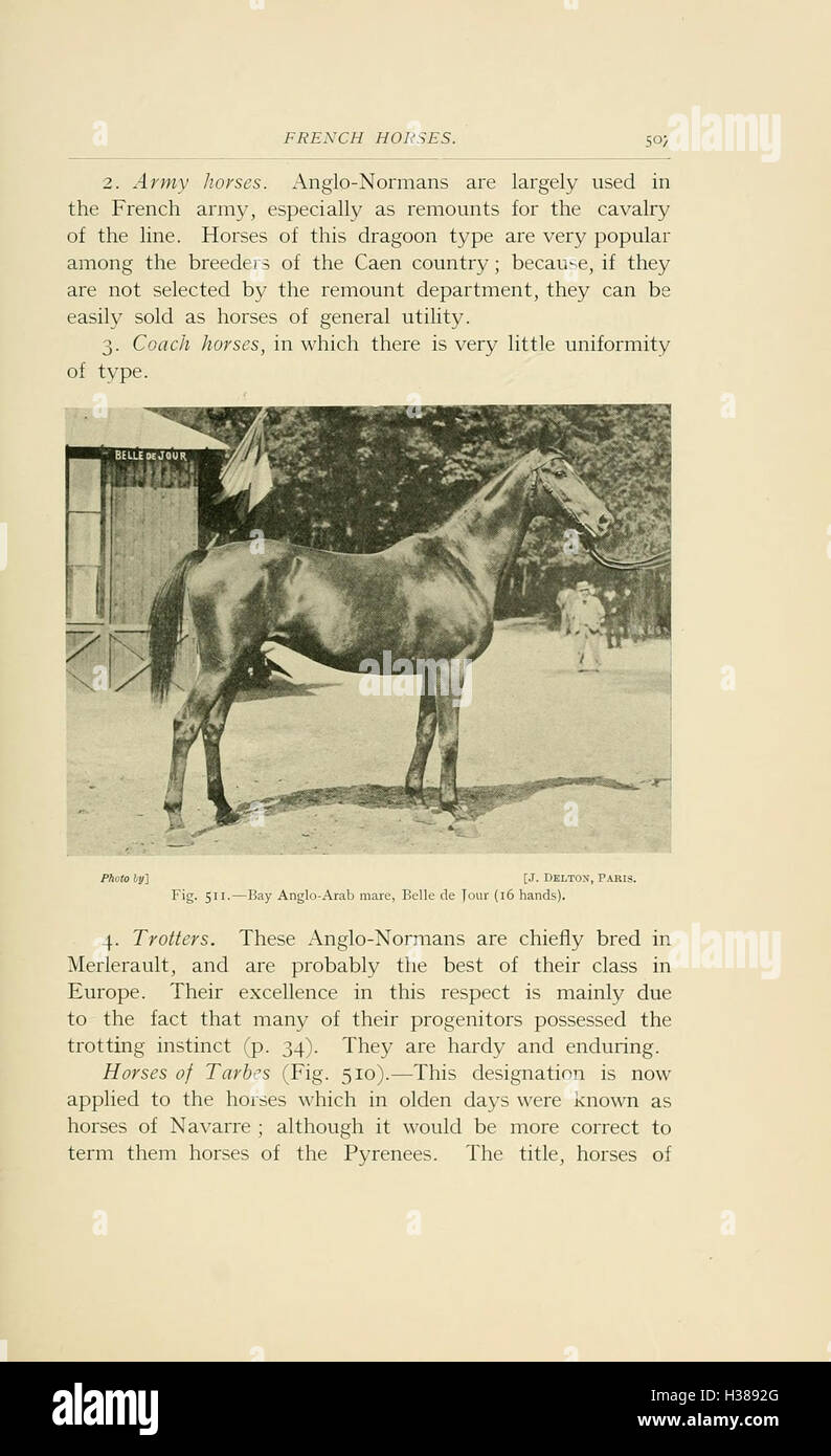 This section provides a detailed analysis of the key physical ...