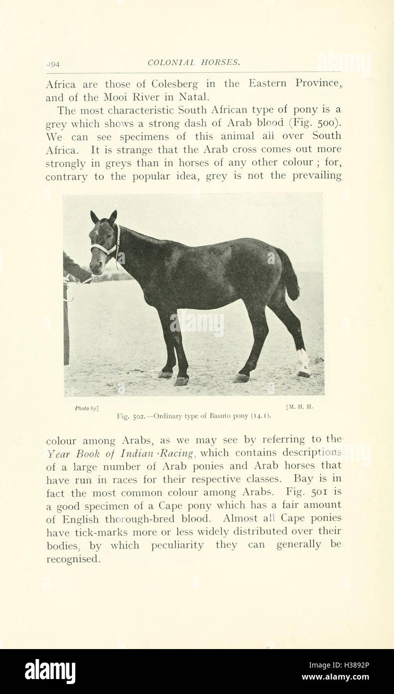 This book provides detailed descriptions of the anatomical features of ...