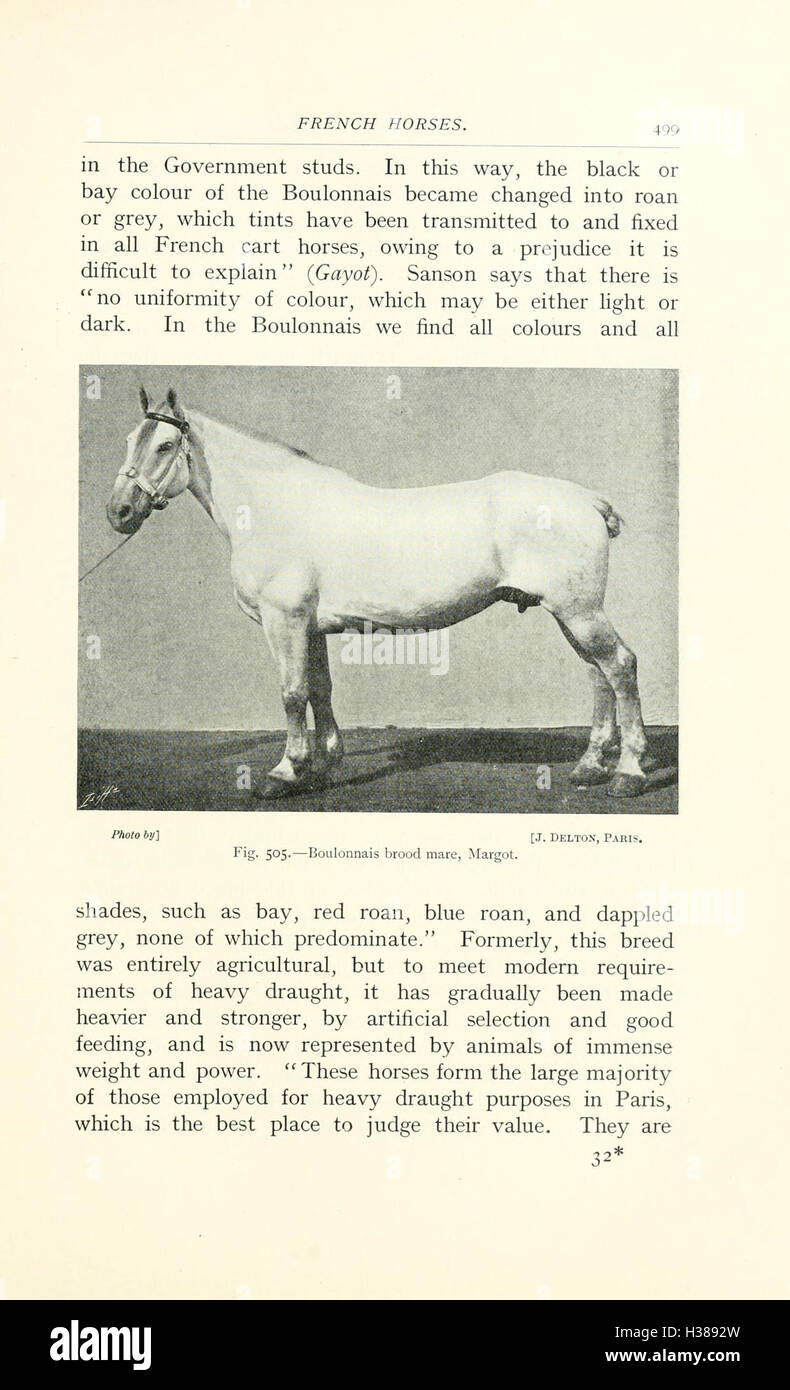 This page illustrates anatomical points of the horse, detailing the ...