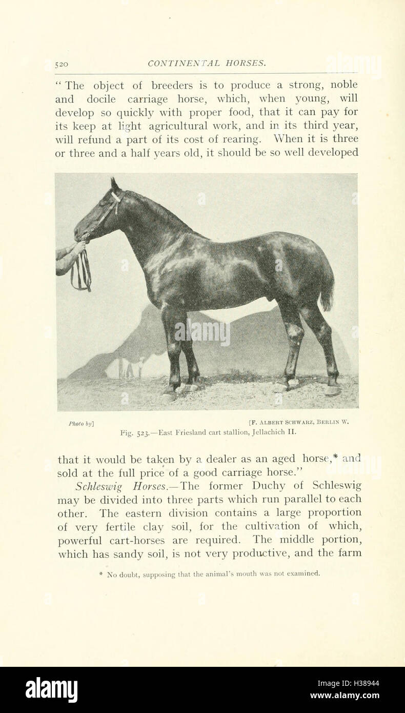 This work covers the anatomical points of the horse, providing detailed ...