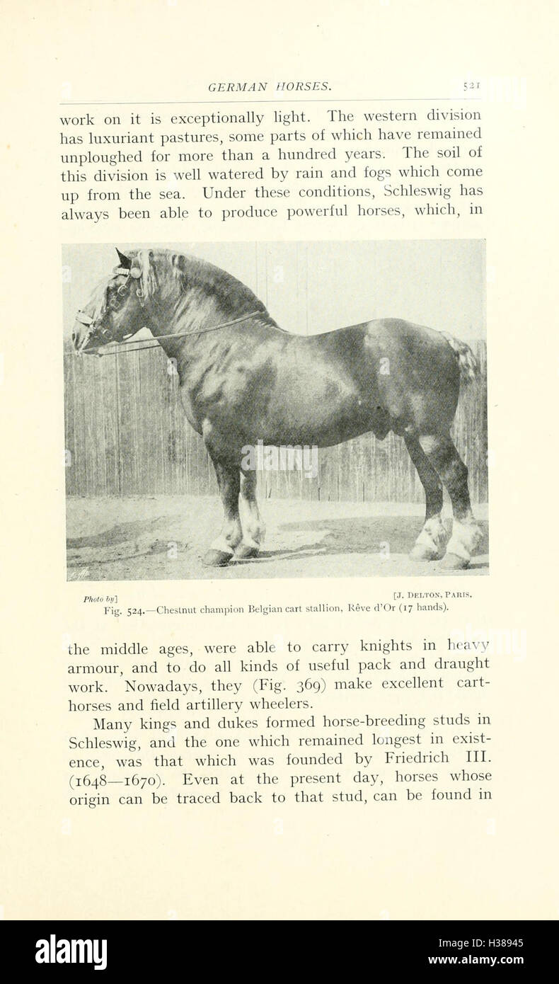 This page covers the key anatomical features and physical traits of ...