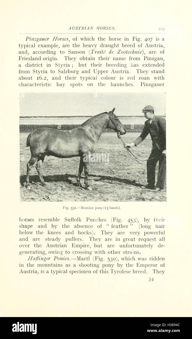 This section provides a detailed examination of the key anatomical and ...