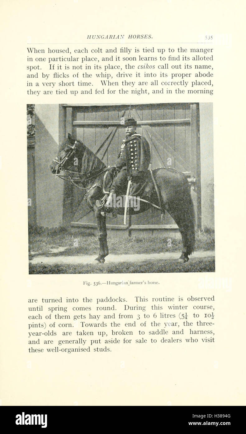 Points of the horse (Page 535) BHL94 Stock Photo - Alamy