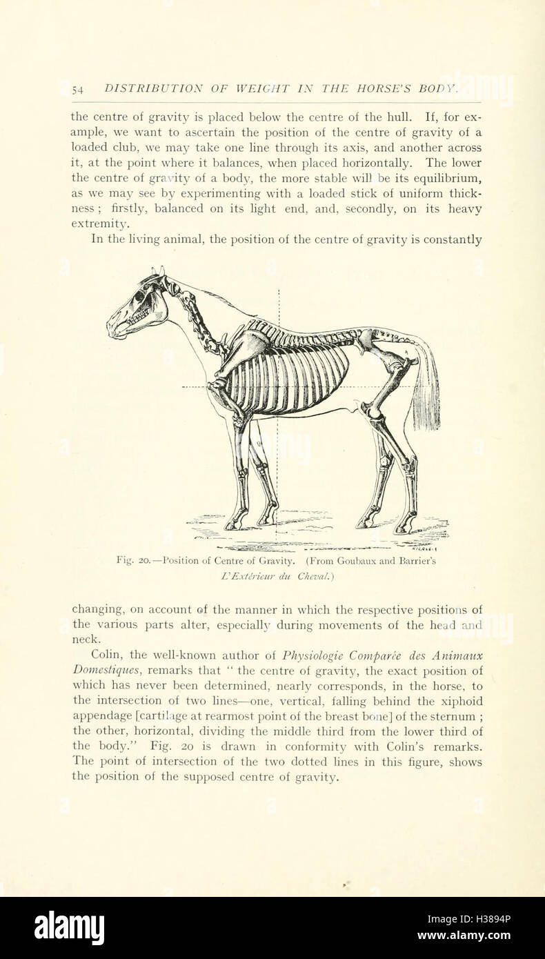This section identifies and explains key anatomical points on the horse ...