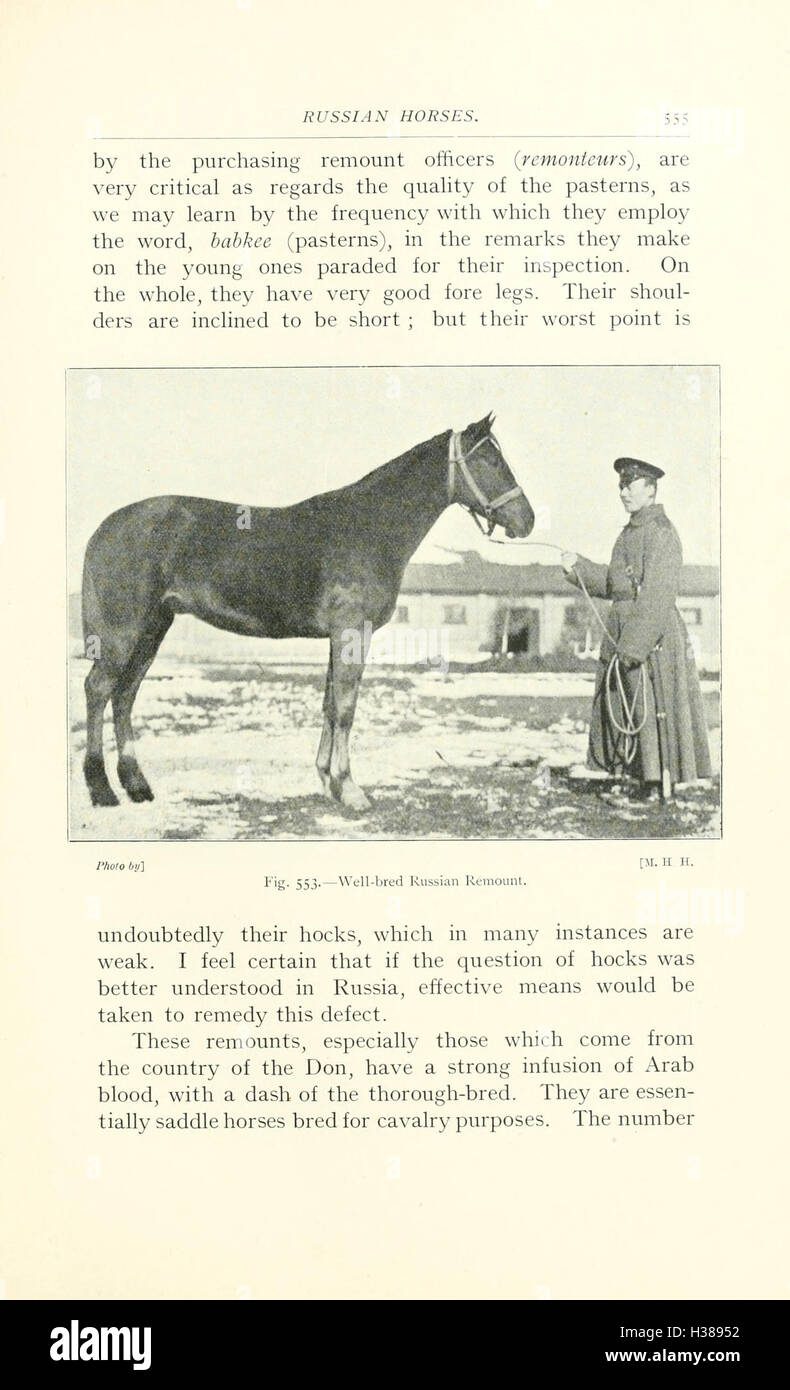 This page details anatomical points on the horse's body, such as the ...