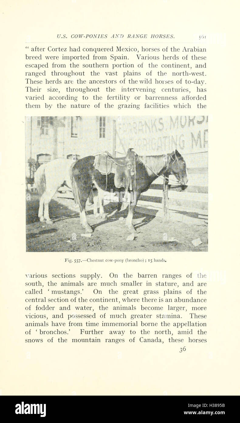 This work provides an anatomical guide to the different parts of the ...