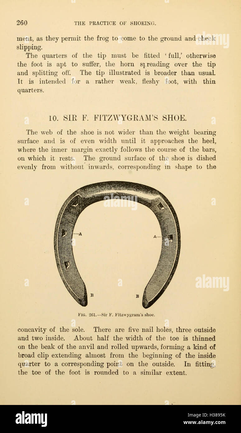 Farrier practice guide hi-res stock photography and images - Alamy