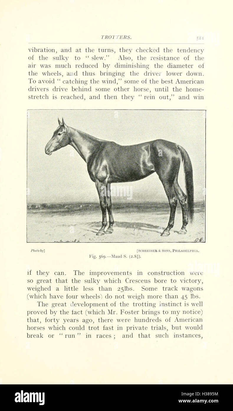 This text outlines key anatomical features and characteristics of ...