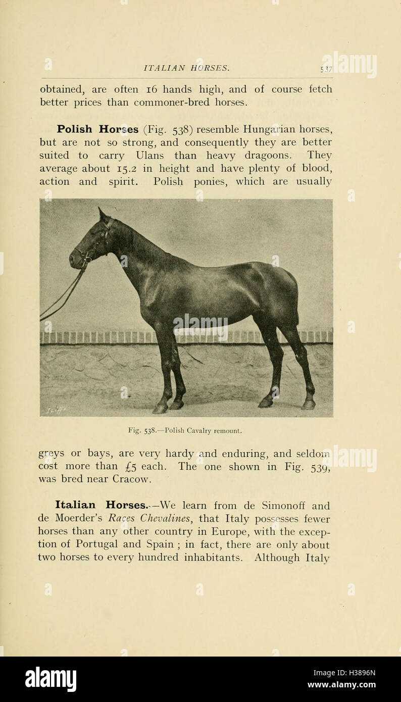 This section details the various anatomical points of a horse ...