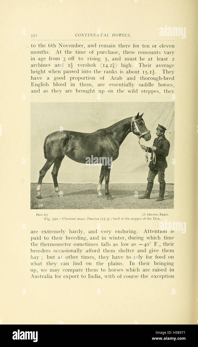 This work provides a detailed analysis of the physical characteristics ...