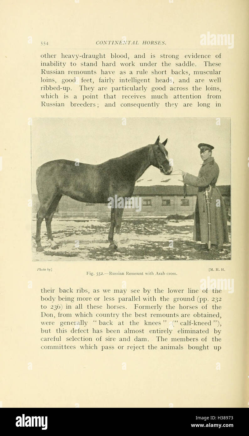 This work outlines the key anatomical points of the horse, with ...