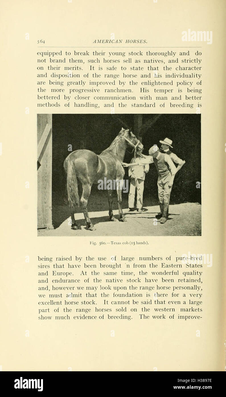 This page highlights the anatomical points of the horse, providing ...
