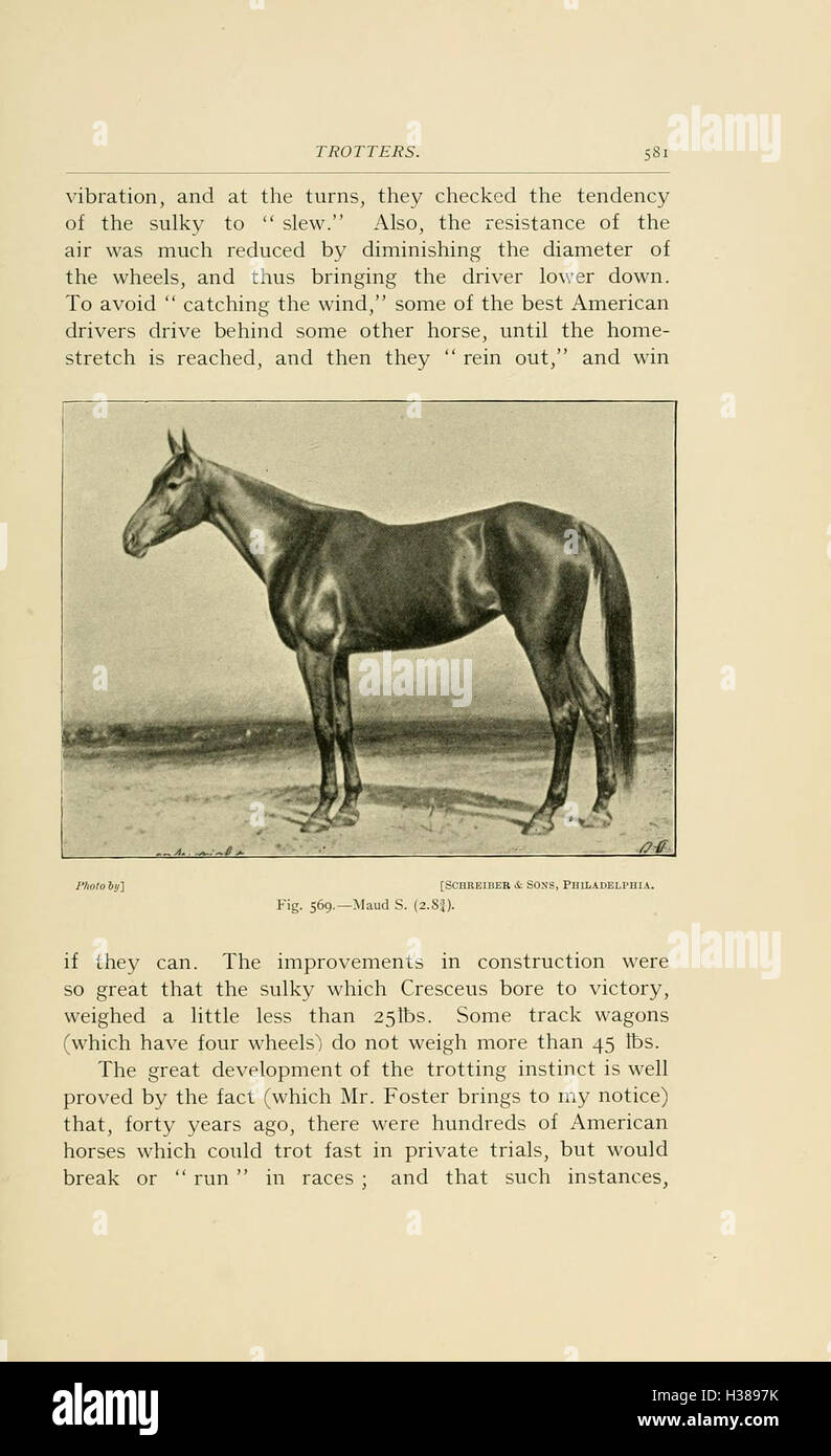 This text provides a detailed overview of the key anatomical features ...