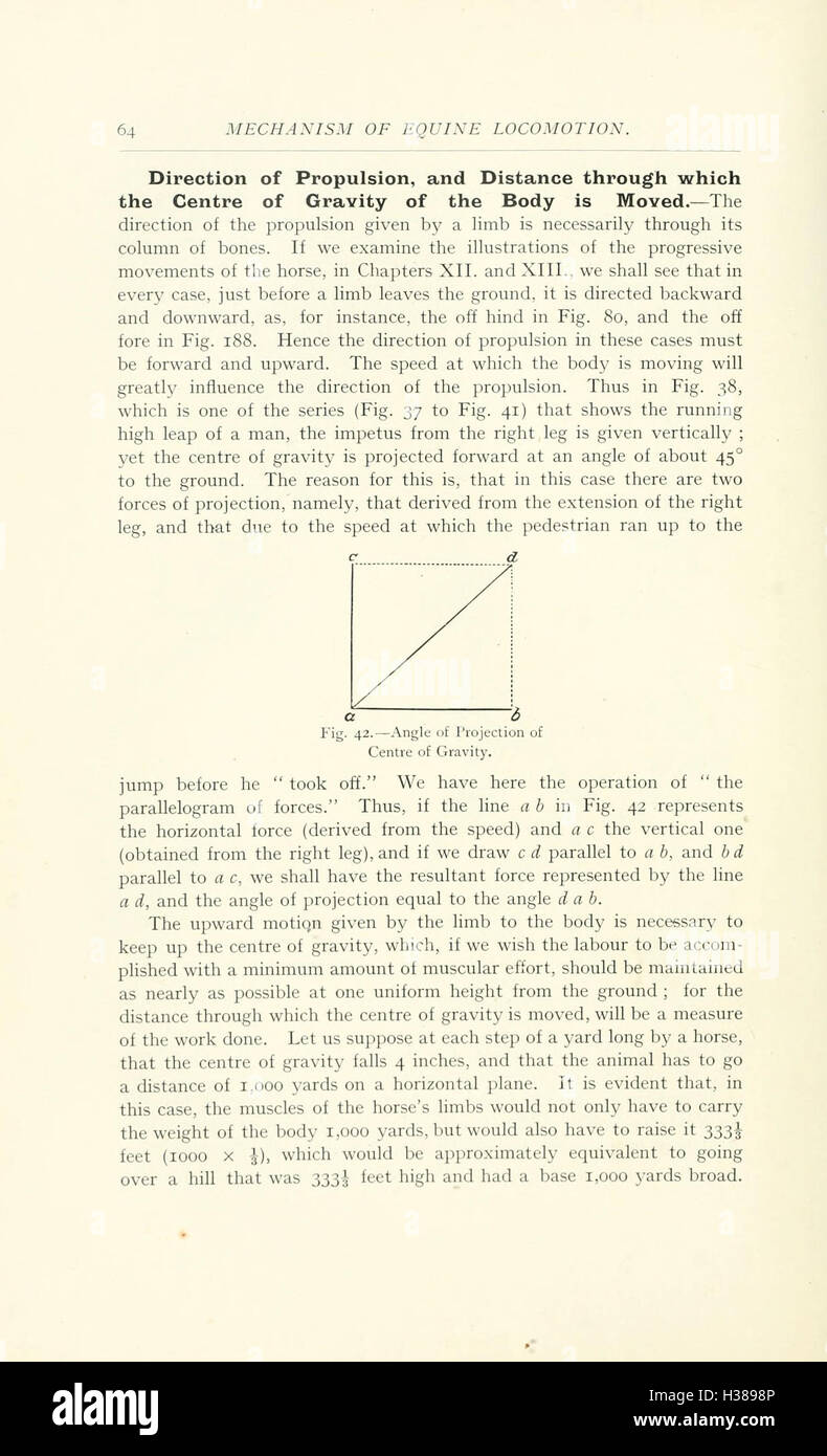 A study of the points of the horse, focusing on the anatomical features ...